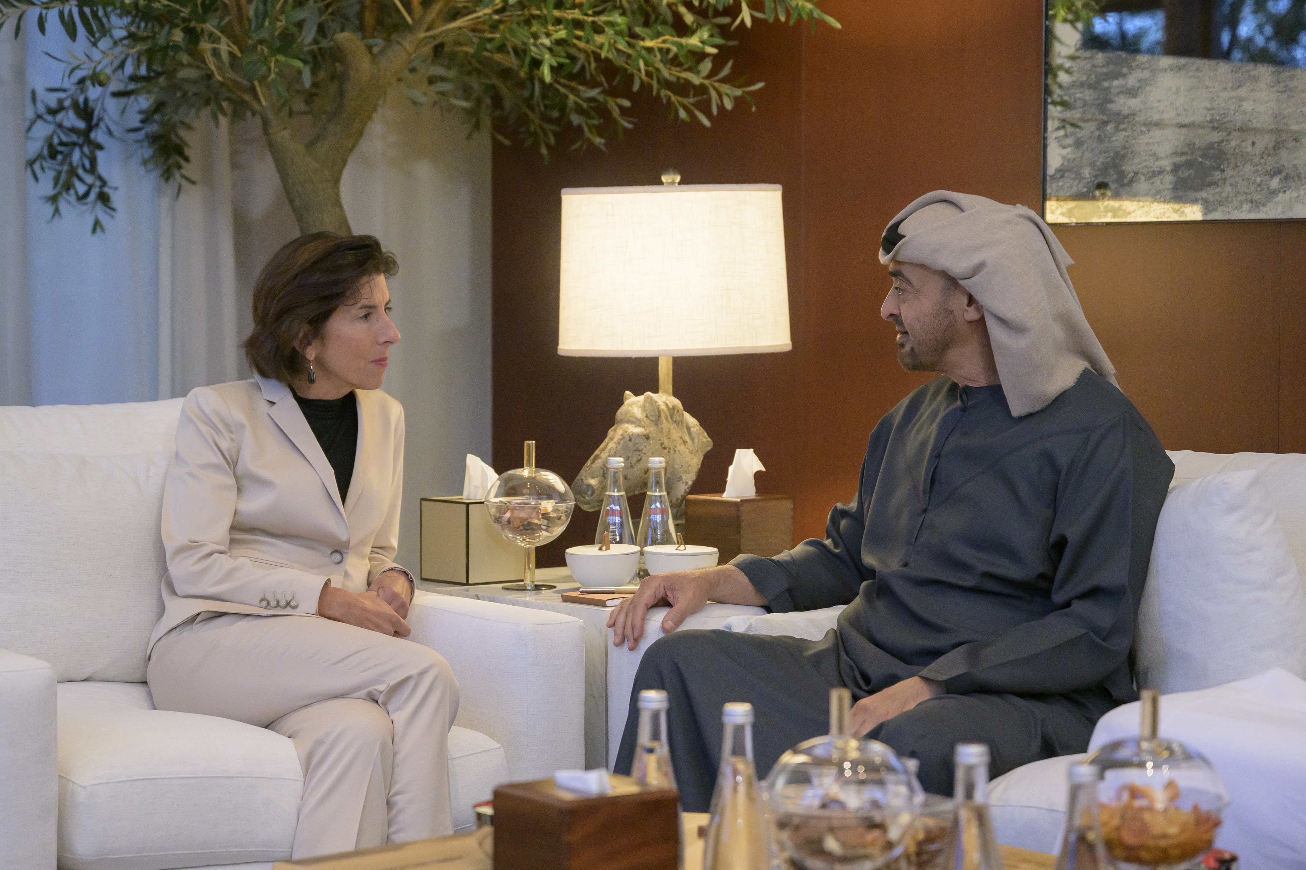 UAE President, US Commerce Secretary Discuss Tech Investment
